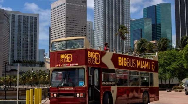 Autobus turistico di Miami - Orari e prezzi del bus turistico Autobus turistico di Miami - Orari e prezzi del bus turistico
